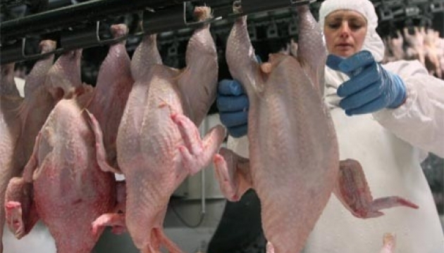 Ukraine Allowed Poultry Export To Eu