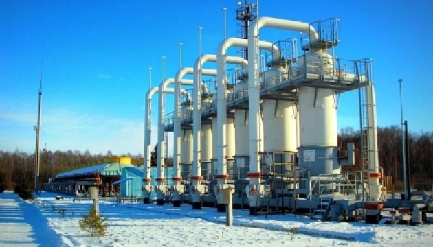 Ukraine has largest gas reserves in Europe - Kobolev