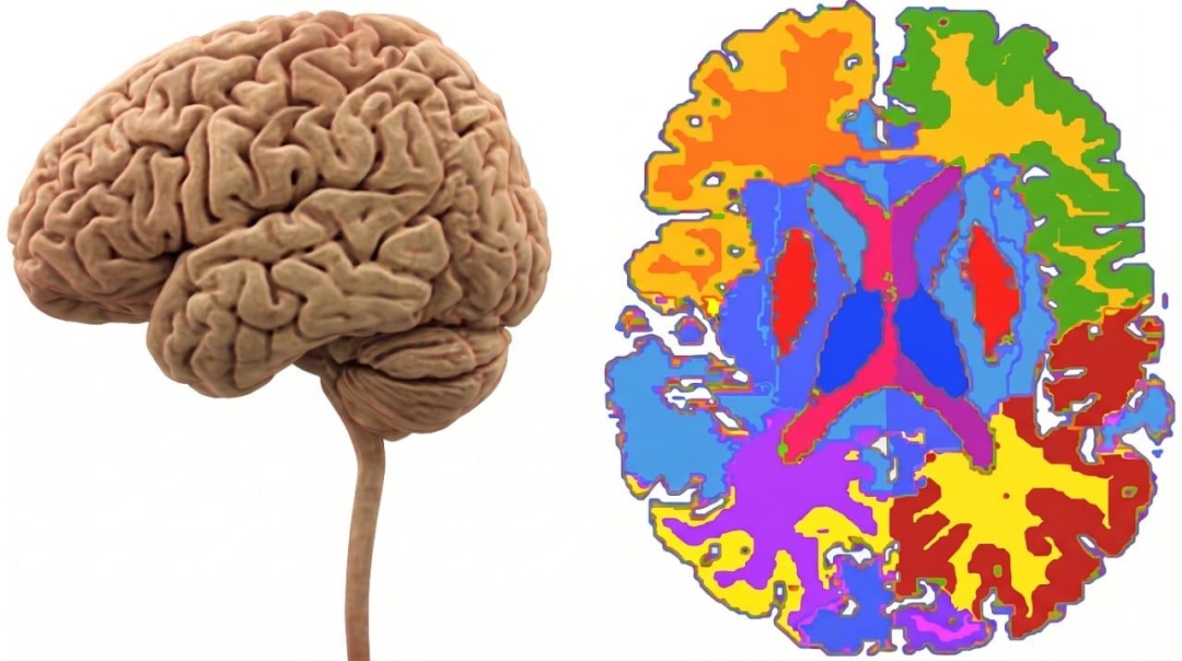Feofaniya hospital introduces unique brain scan to detect sleep and ...